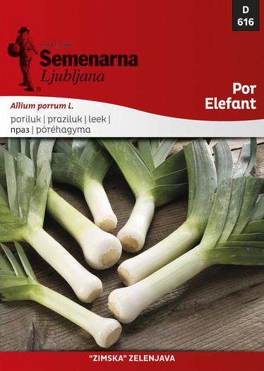 KES.SJ. 616 PORI LUK ELEFANT - Semenarna
