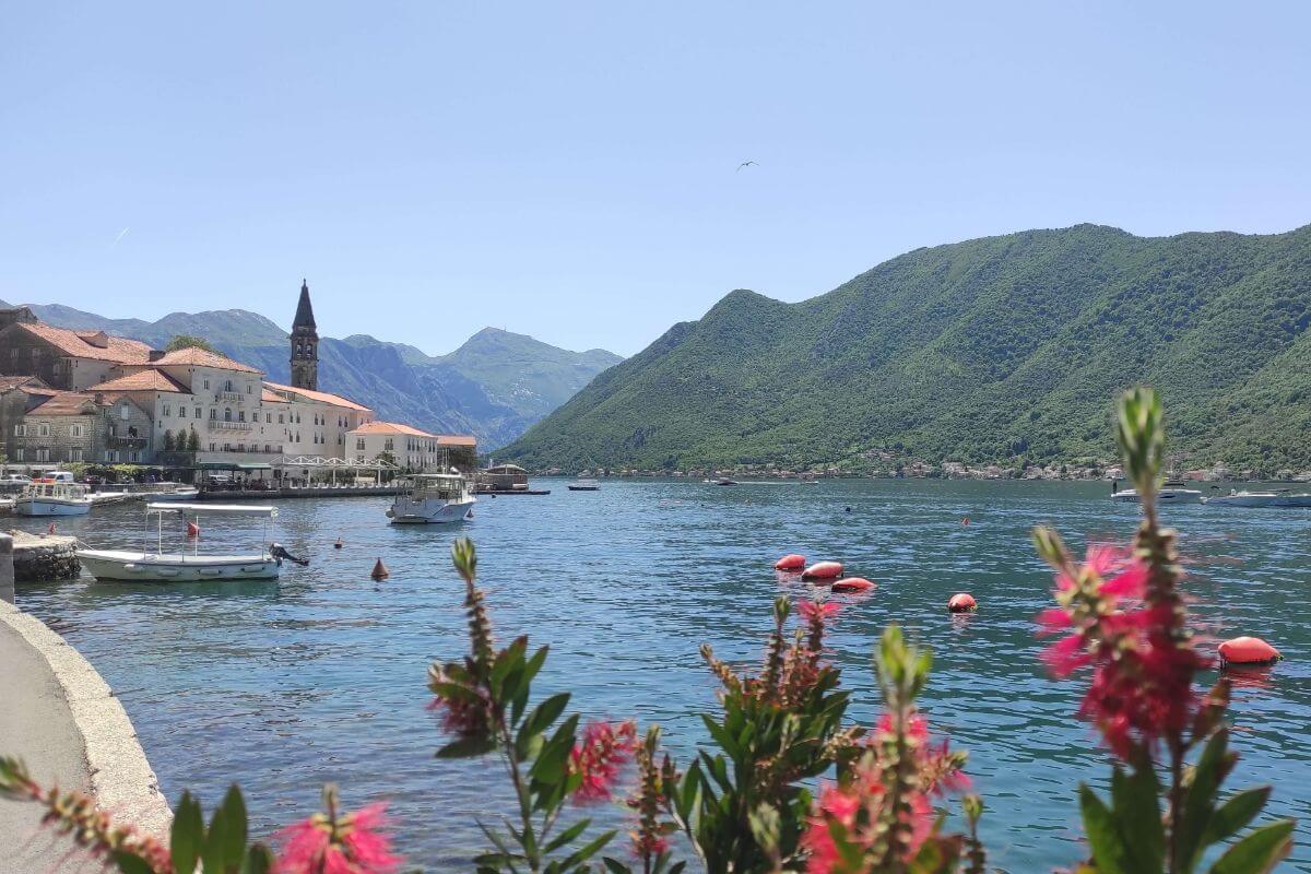 Our Lady of the Rocks & Perast Group Speedboat Tour